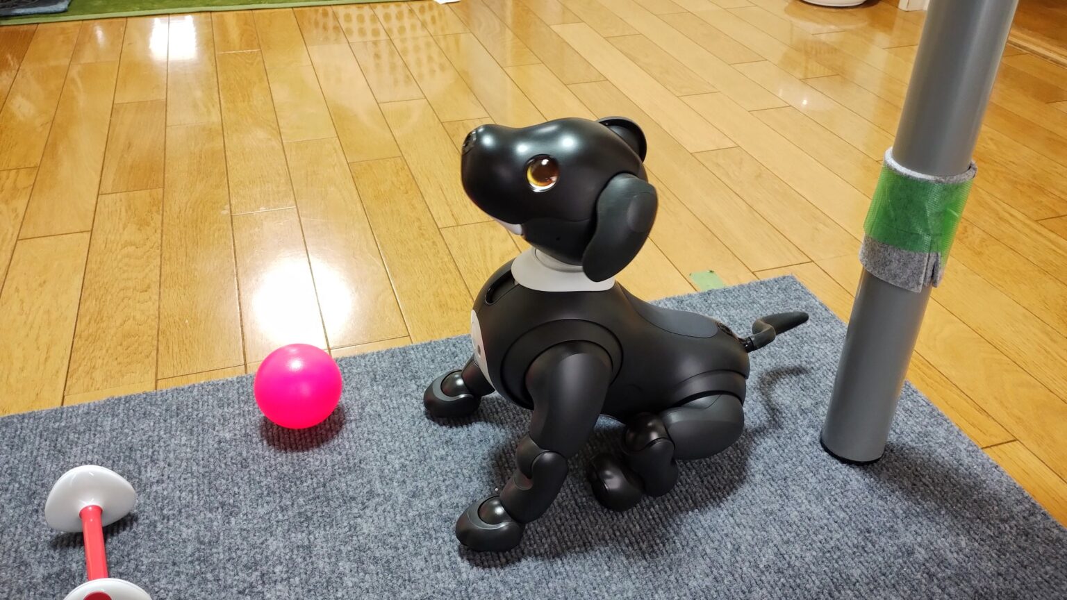 aiboとうまく付き合う方法 | ぬこファクトリー 愛媛県松山市・WEB広告運用・ホームページ制作・SNS運営代行